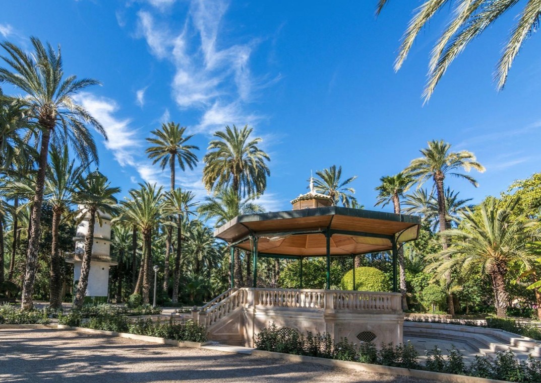Blog: Elche: een stad vol palmen - La Taha